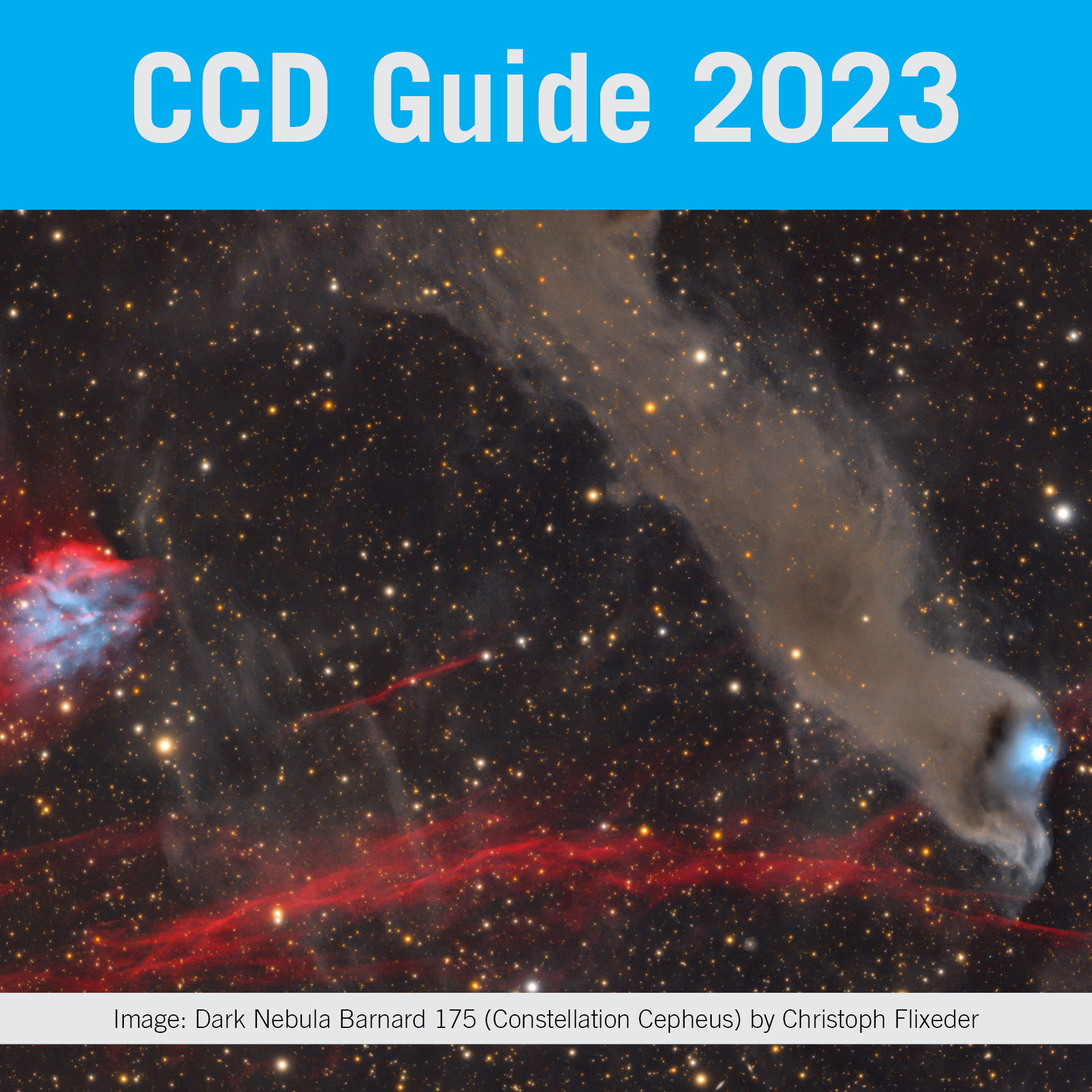The new CCD-Guide 2023 - CCD Guide